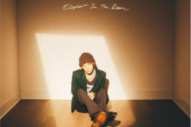 Rowan Drake: „Elephant In The Room“: So schön hört sich etwas vormachen ...